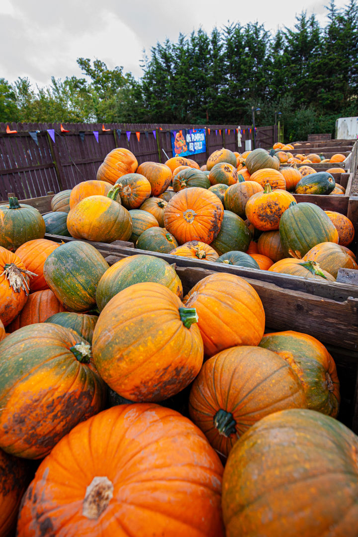 Spook-Fest: Halloween Event in Devon at Crealy